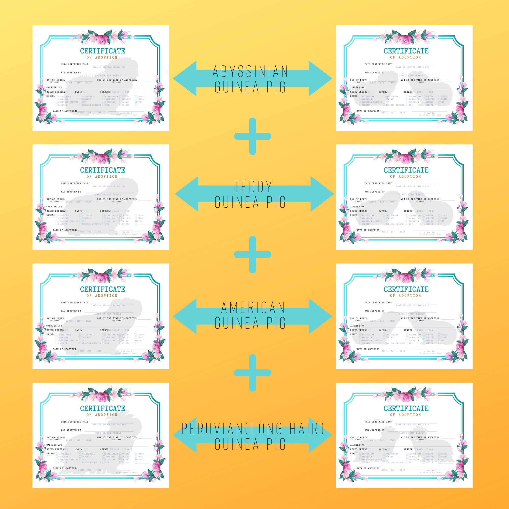 Guinea Pig Certificate of Adoption Bundle / Guinea Pig Printable ...