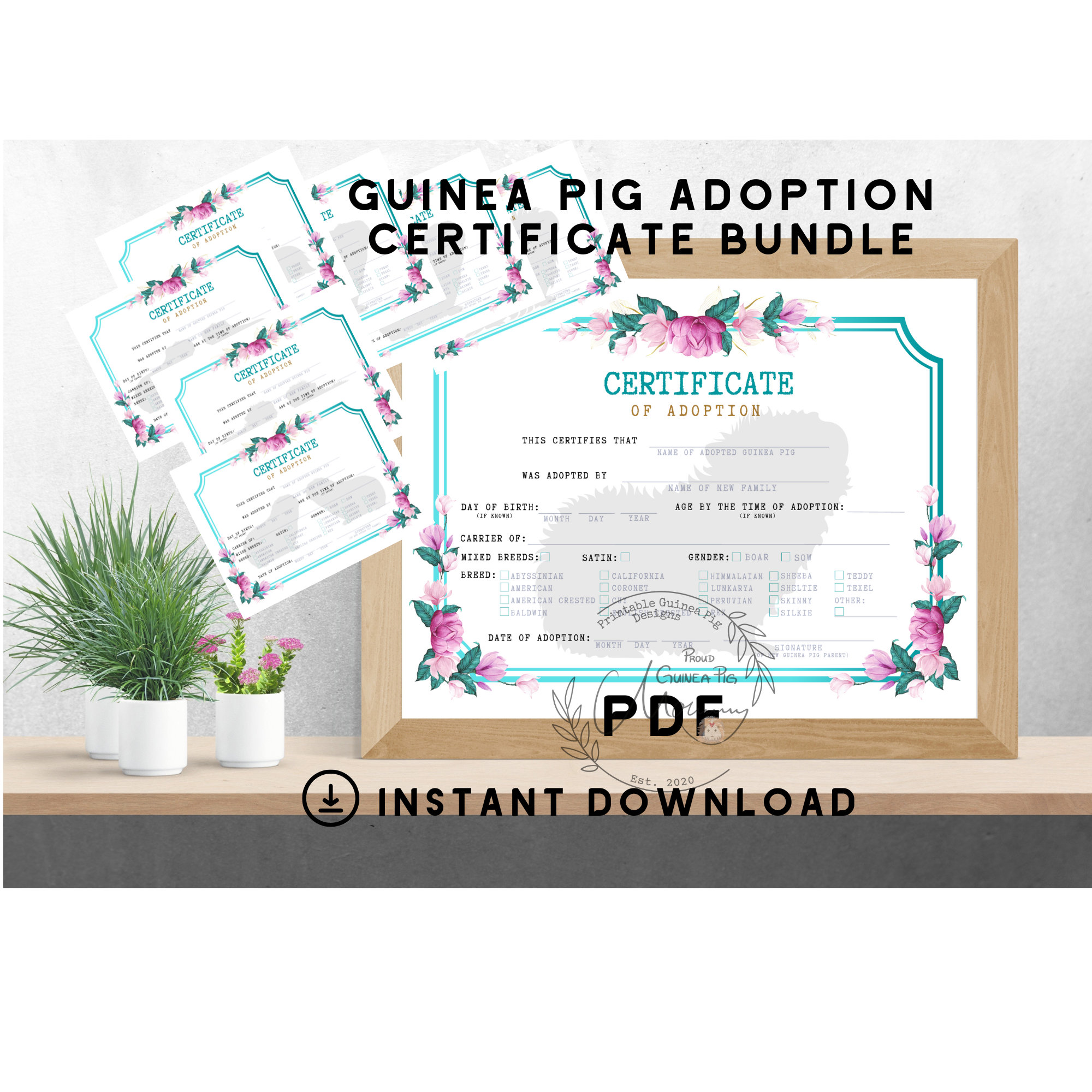 Guinea Pig Certificate of Adoption Bundle / Guinea Pig Printable ...