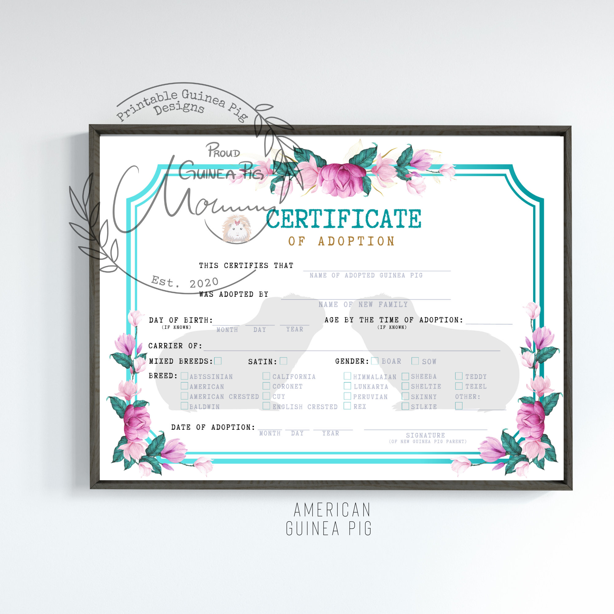 Guinea Pig Certificate of Adoption Bundle / Guinea Pig Printable ...