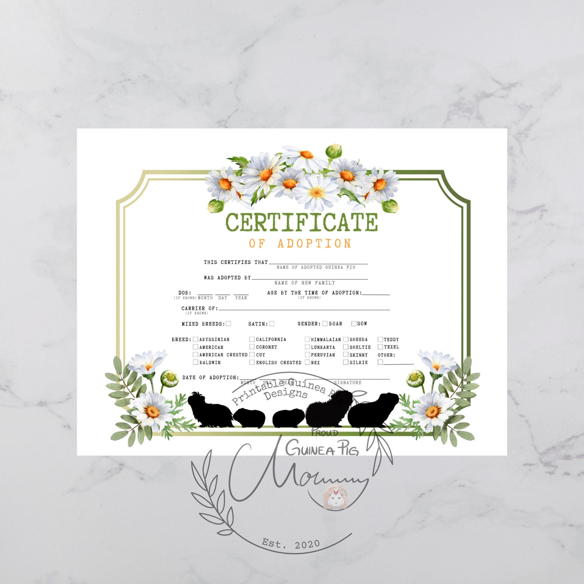 Guinea Pig Adoption Certificate | Cavie Adoption Certificate | Guinea ...