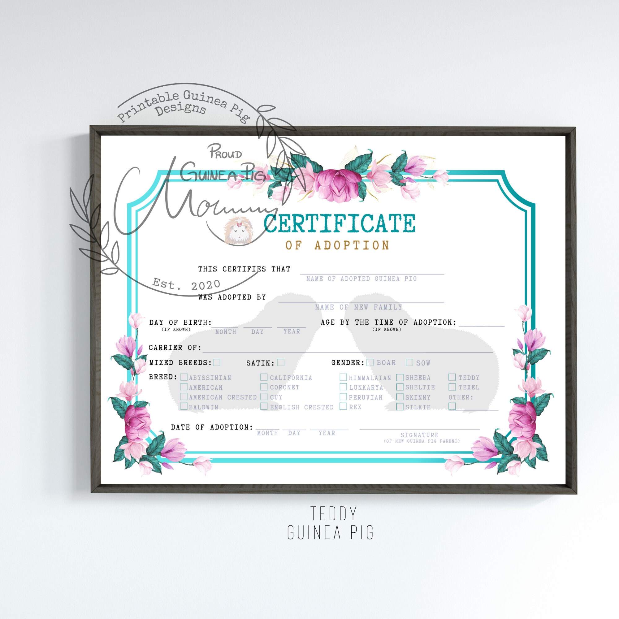 Guinea Pig Certificate of Adoption Bundle / Guinea Pig Printable ...