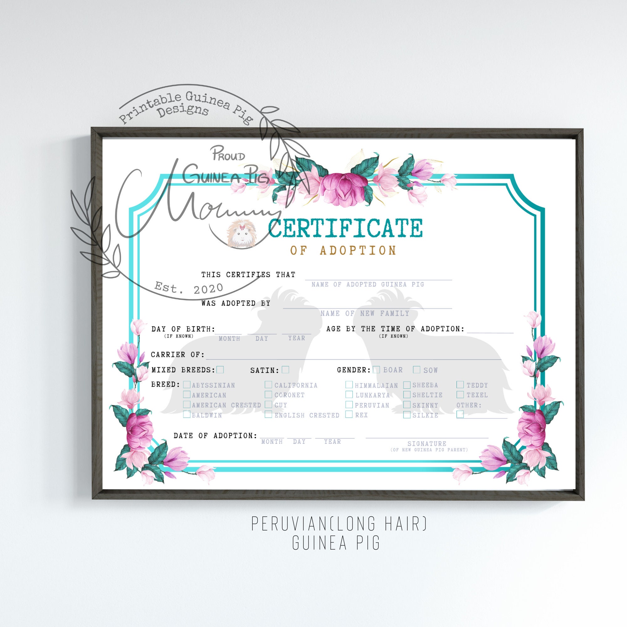 Guinea Pig Certificate of Adoption Bundle / Guinea Pig Printable ...