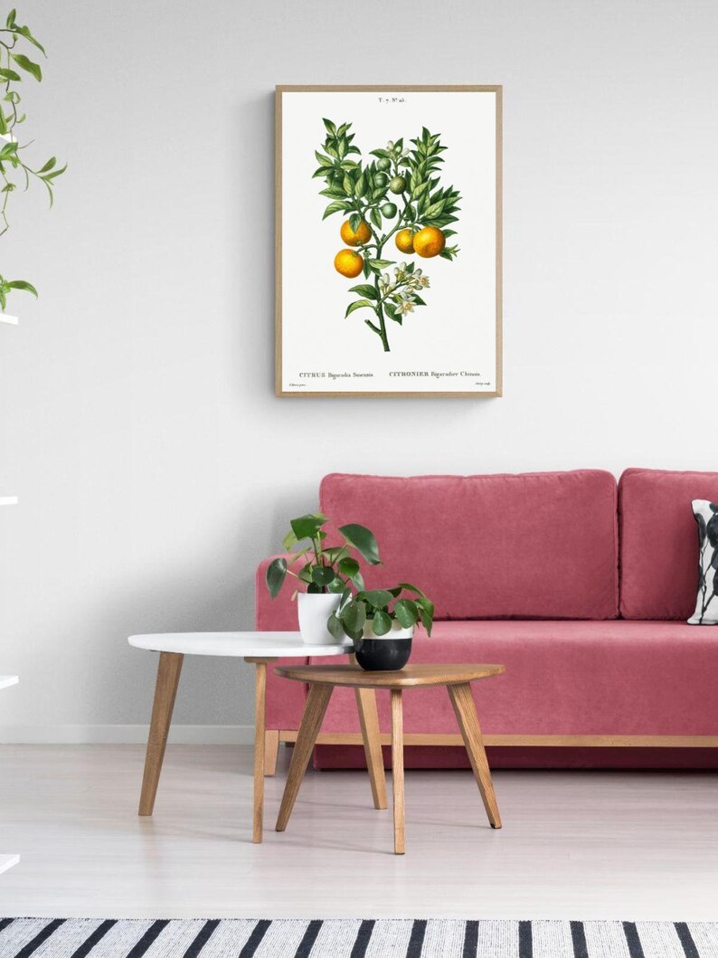 Fruits Orange tree branch Poster | Etsy