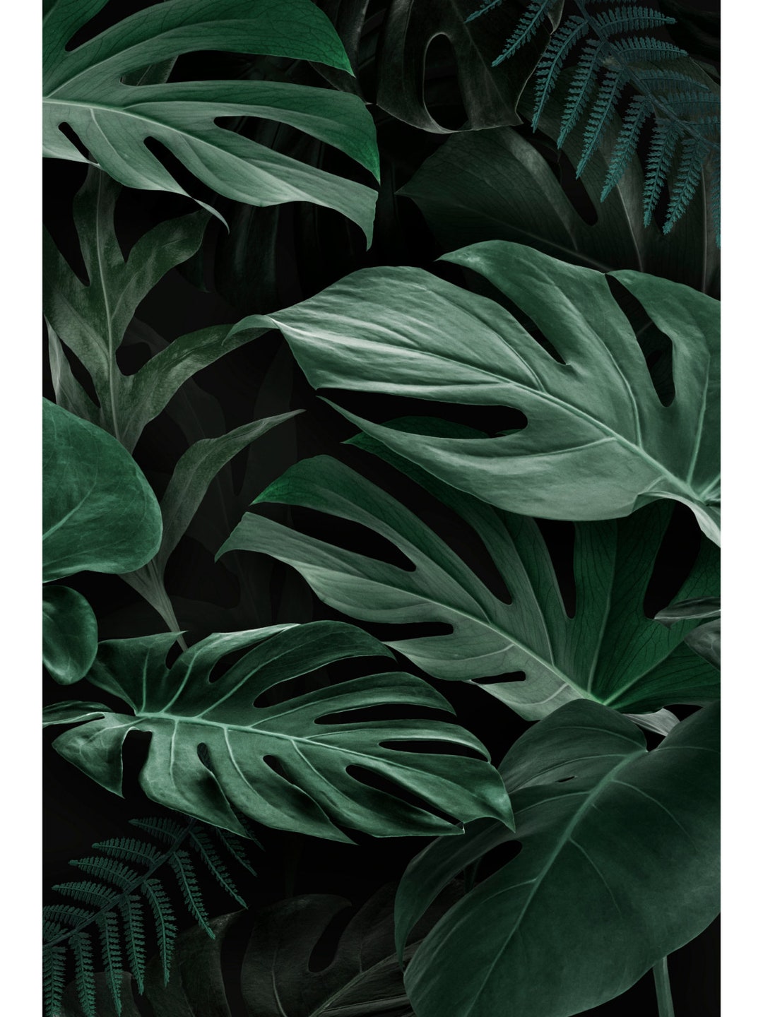 Green Tropical Leaves Poster - Etsy