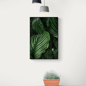 Large Green Tropical Leaves Poster - Etsy