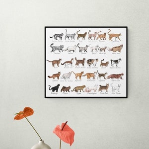 Types of Cats Poster Wall Art Home Decor - Etsy
