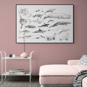 Marine Animals Poster - Etsy