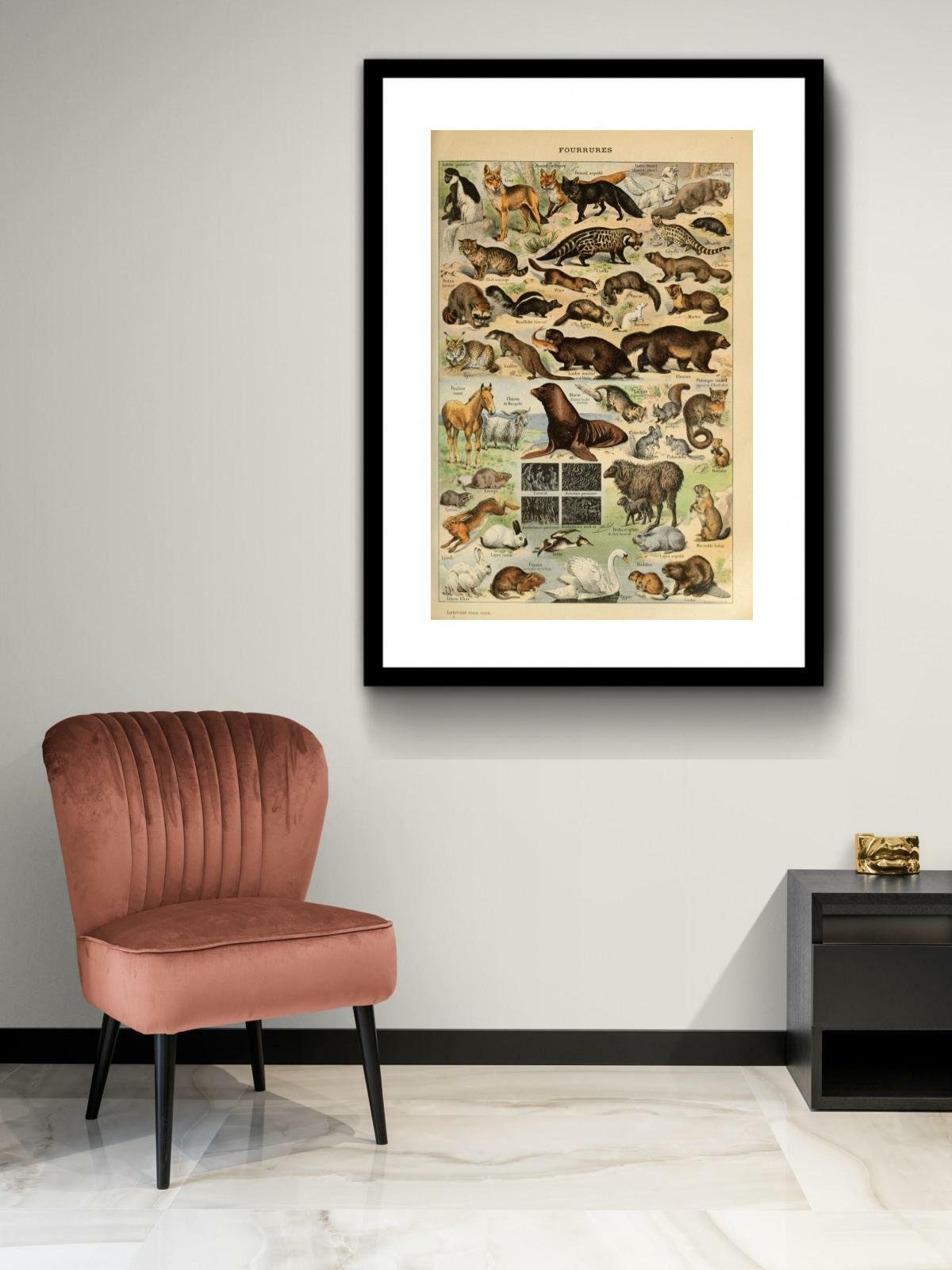 Fur Animals Chart by Millot | Poster | Wall Art | Home Decor | - Etsy