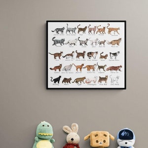 Types of Cats Poster Wall Art Home Decor - Etsy