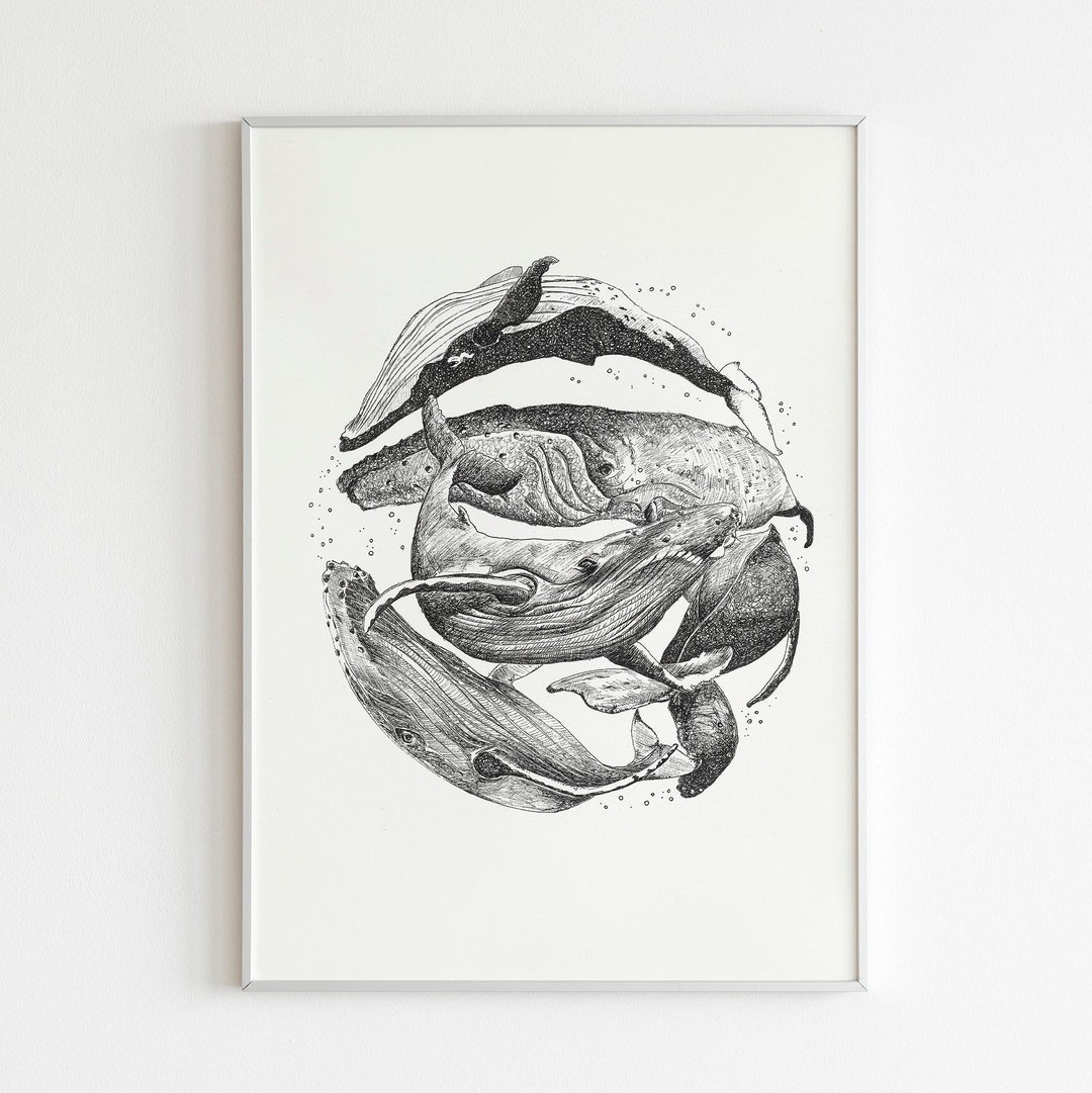 Whale Ink Illustration, Whale Decorative Print, Whale Wall Decoration ...