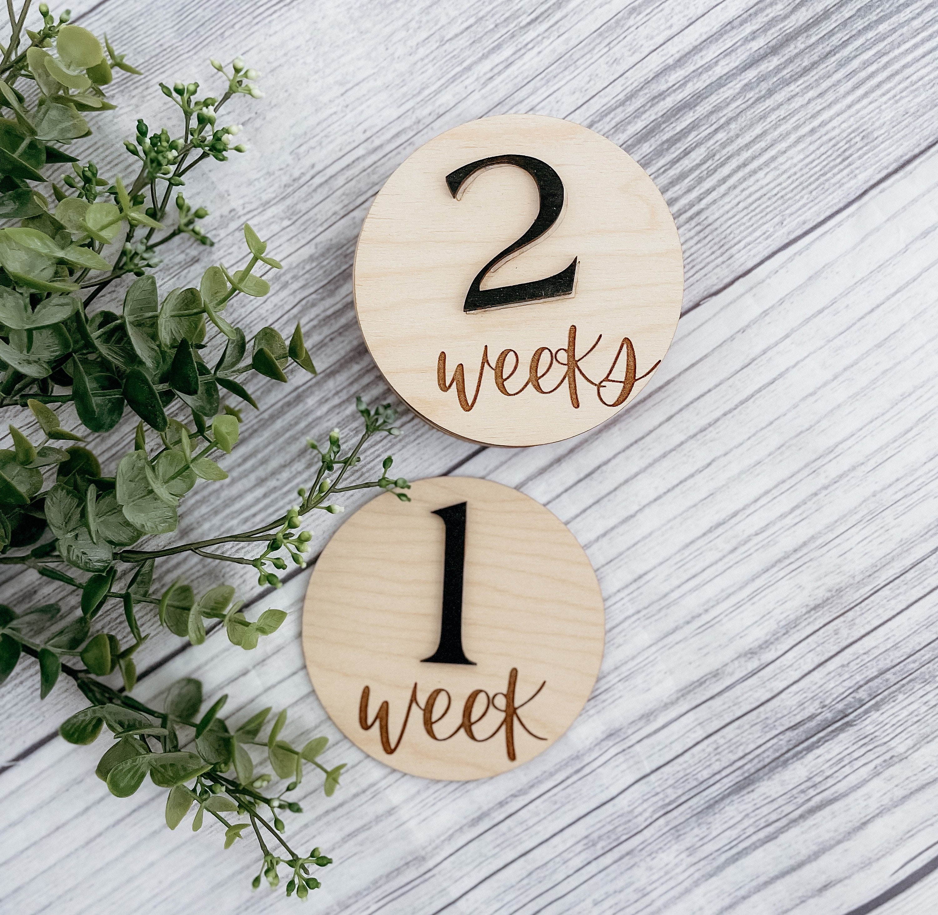 Baby Monthly Milestone Disc Set|baby Announcement|milestone Discs ...