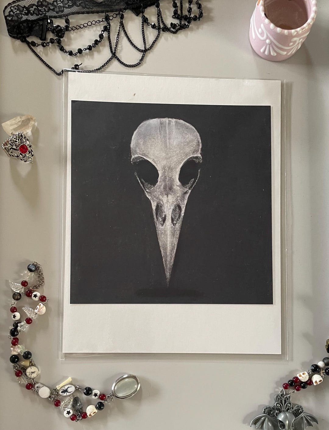 Bird Skull Art Print - Charcoal Print - Gothic Art - Etsy