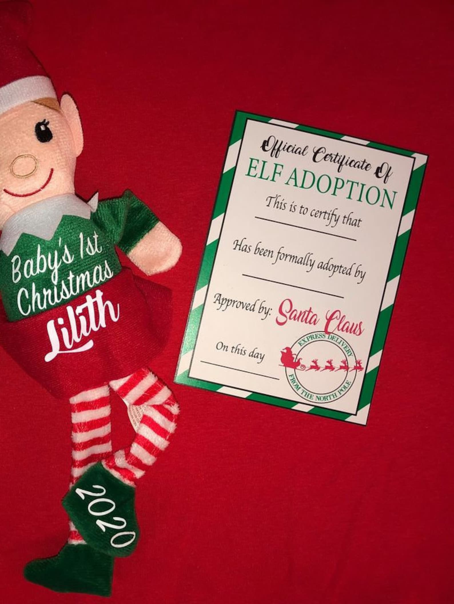 Christmas Elf Adoption Certificate PDF - Etsy