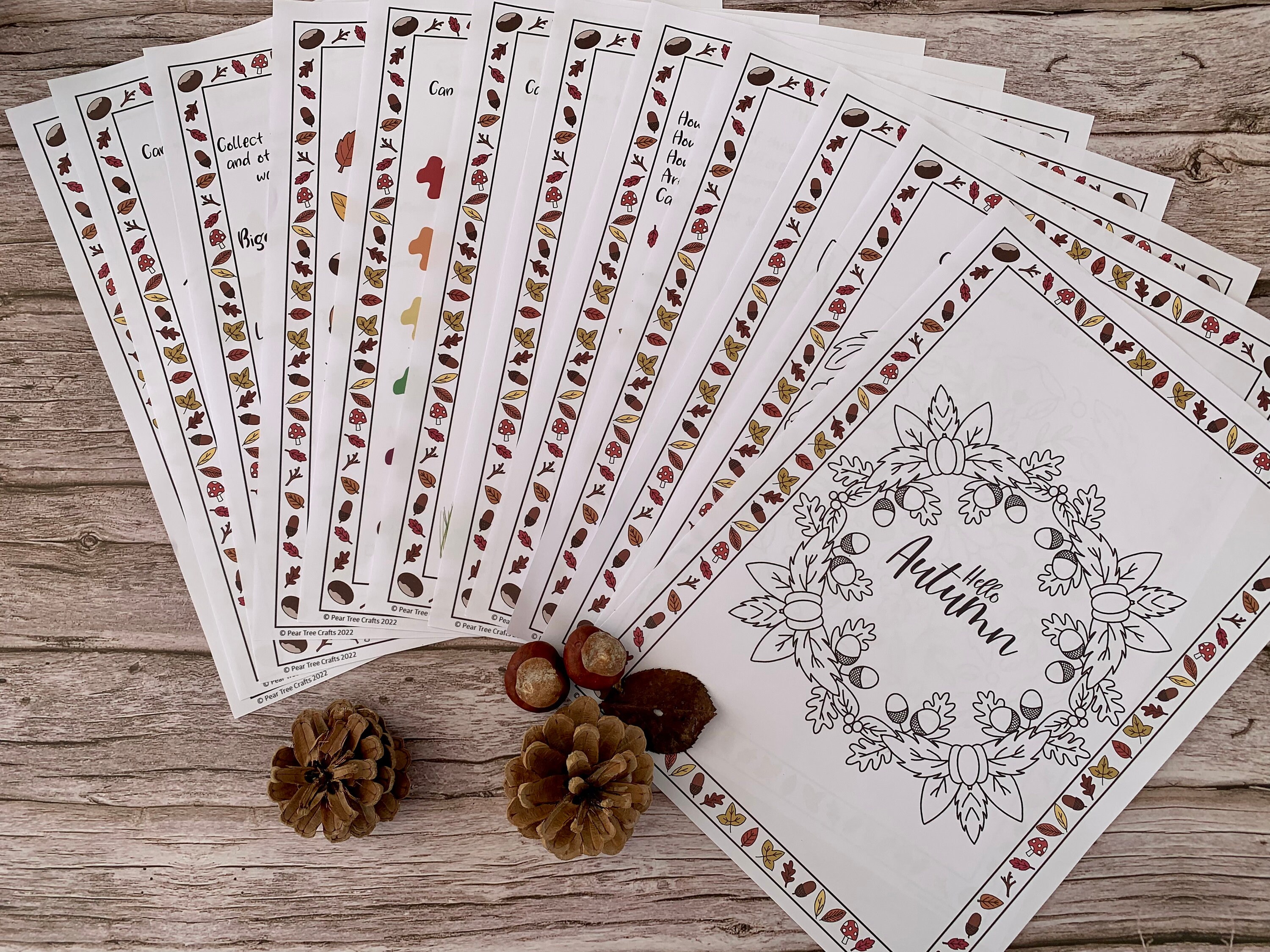 Children’s Autumn Activity Pack, Kids Nature Activity Sheets, Printable ...