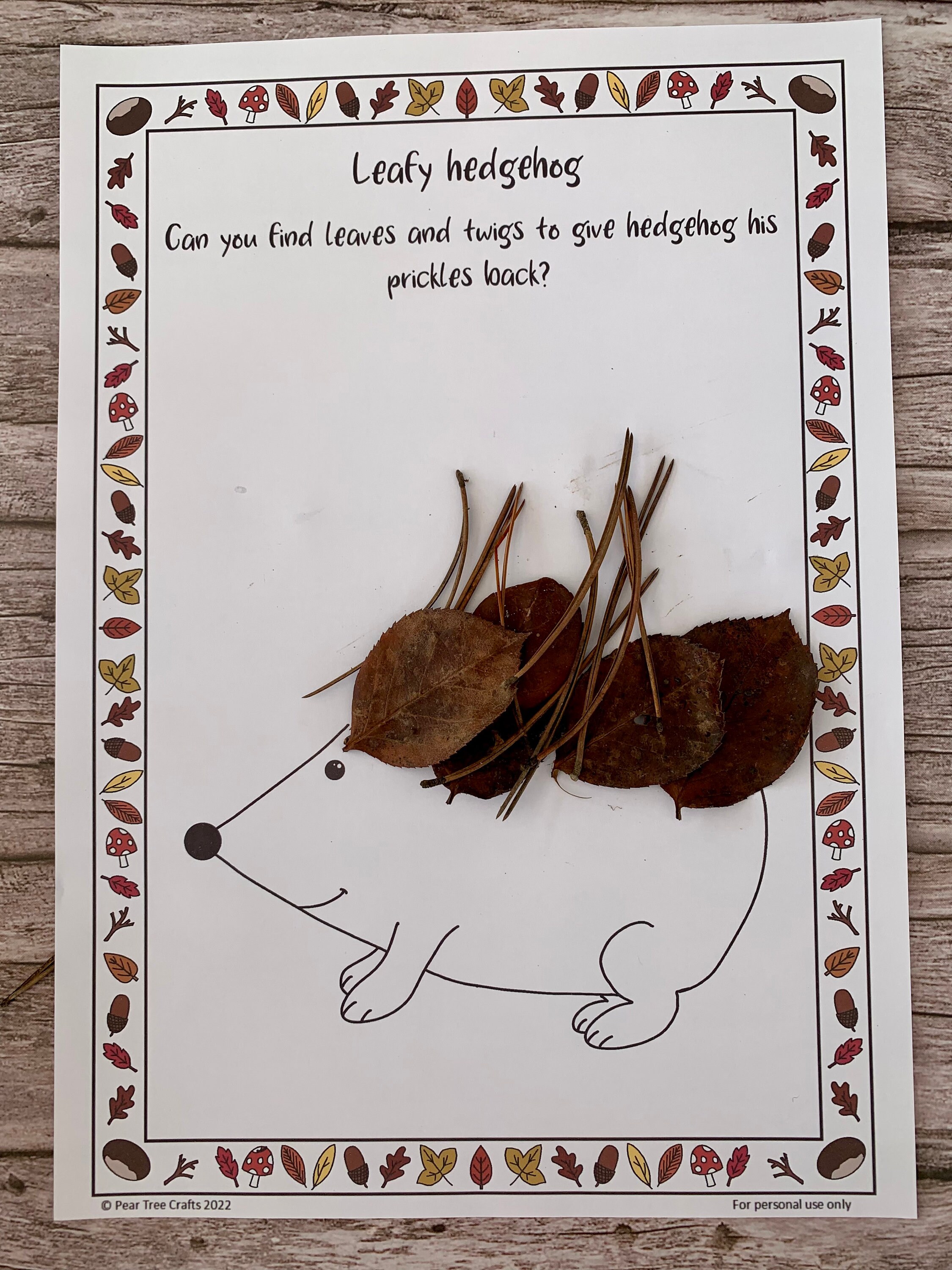 Children’s Autumn Activity Pack, Kids Nature Activity Sheets, Printable ...