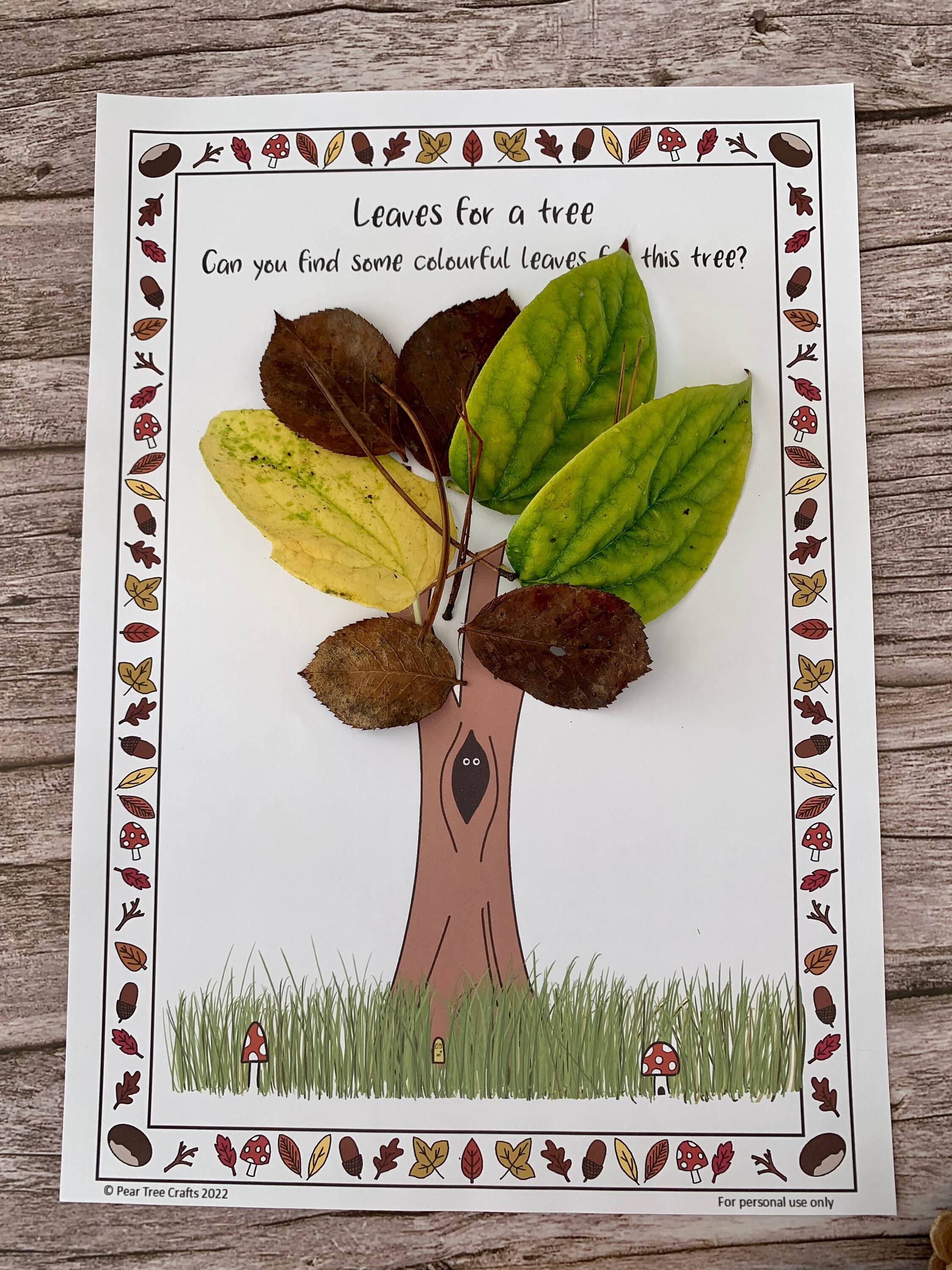 Childrens Autumn Activity Pack, Kids Nature Activity Sheets, Printable ...