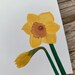 Daffodil Note Cards, A6 Notelets, Postcard Style Notecards, Floral ...