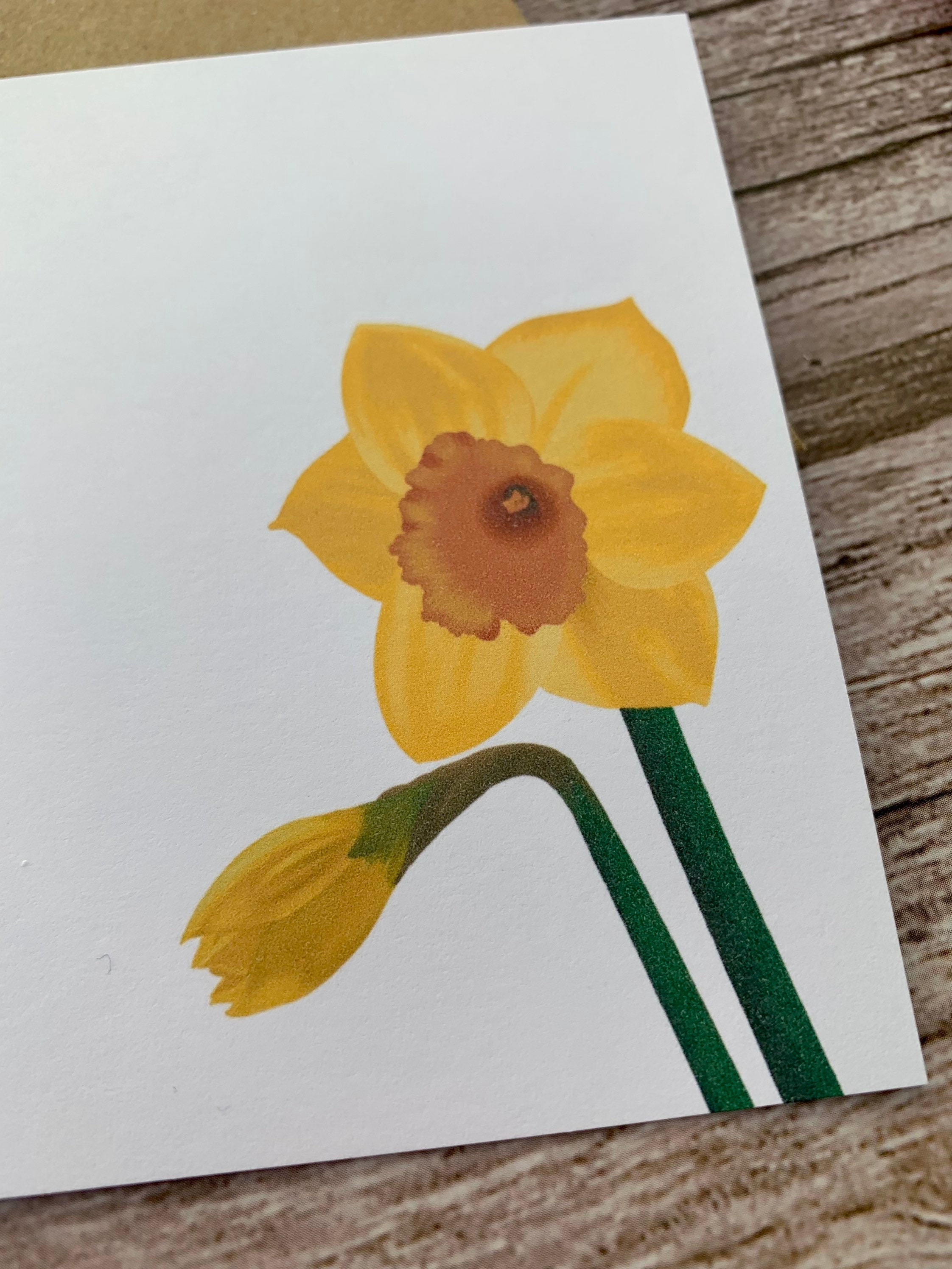 Daffodil Note Cards, A6 Notelets, Postcard Style Notecards, Floral ...