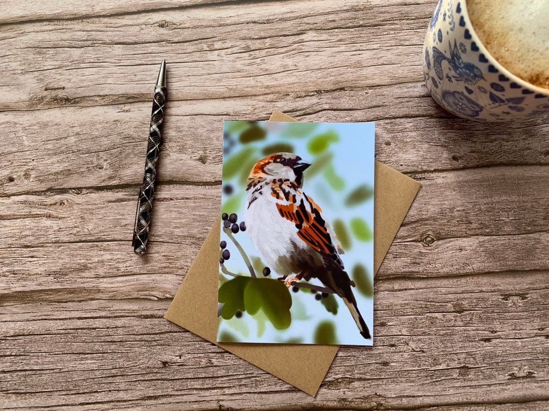 Sparrow Blank Greetings Card Garden Bird Card Perfect for - Etsy UK