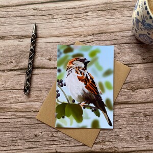 Sparrow Blank Greetings Card Garden Bird Card Perfect for - Etsy UK