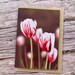 Daffodil Note Cards, A6 Notelets, Postcard Style Notecards, Floral ...
