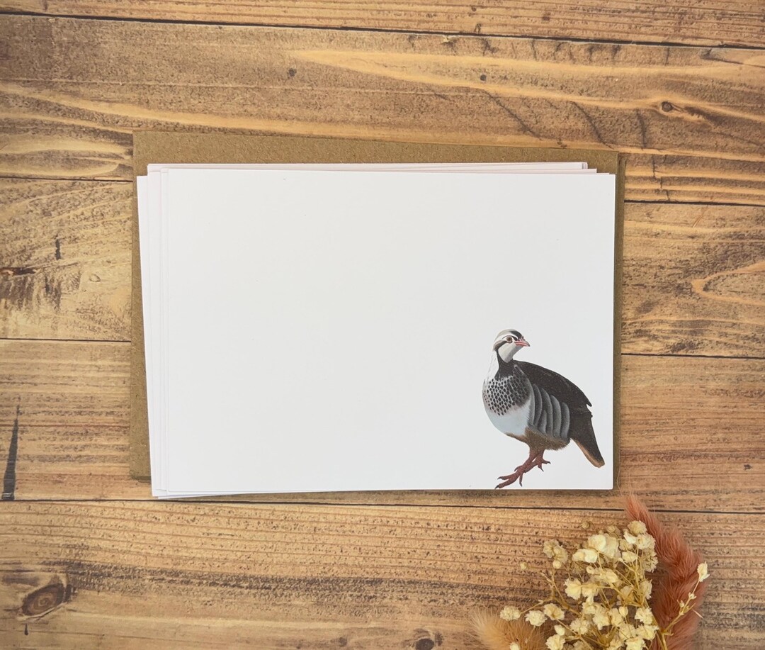 Tarjetas de perdiz, tarjetas de aves, tarjetas estilo postal, regalo de ...