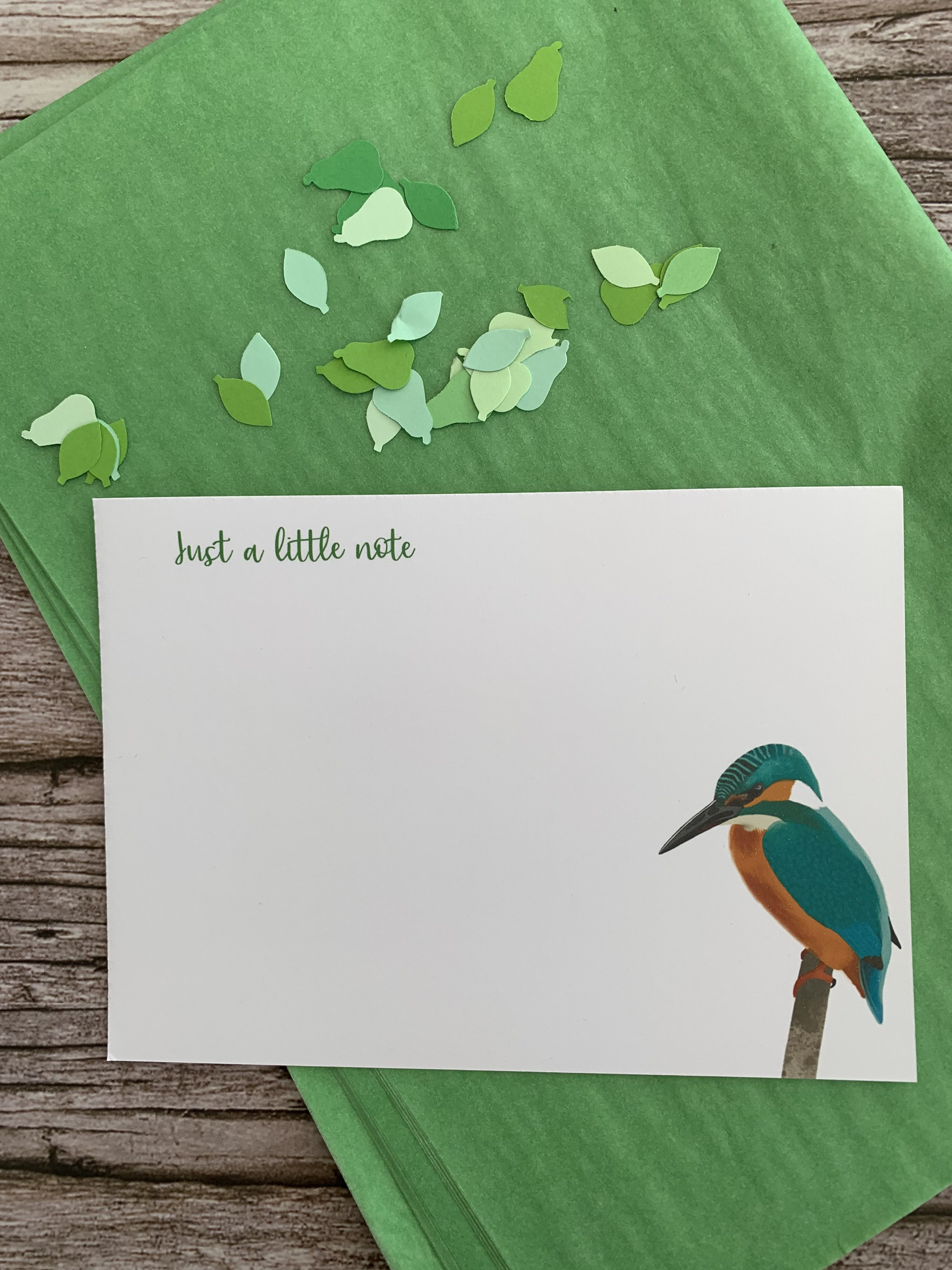 Kingfisher Notecards, Bird Notelets, Wildlife Stationery, Just Because ...