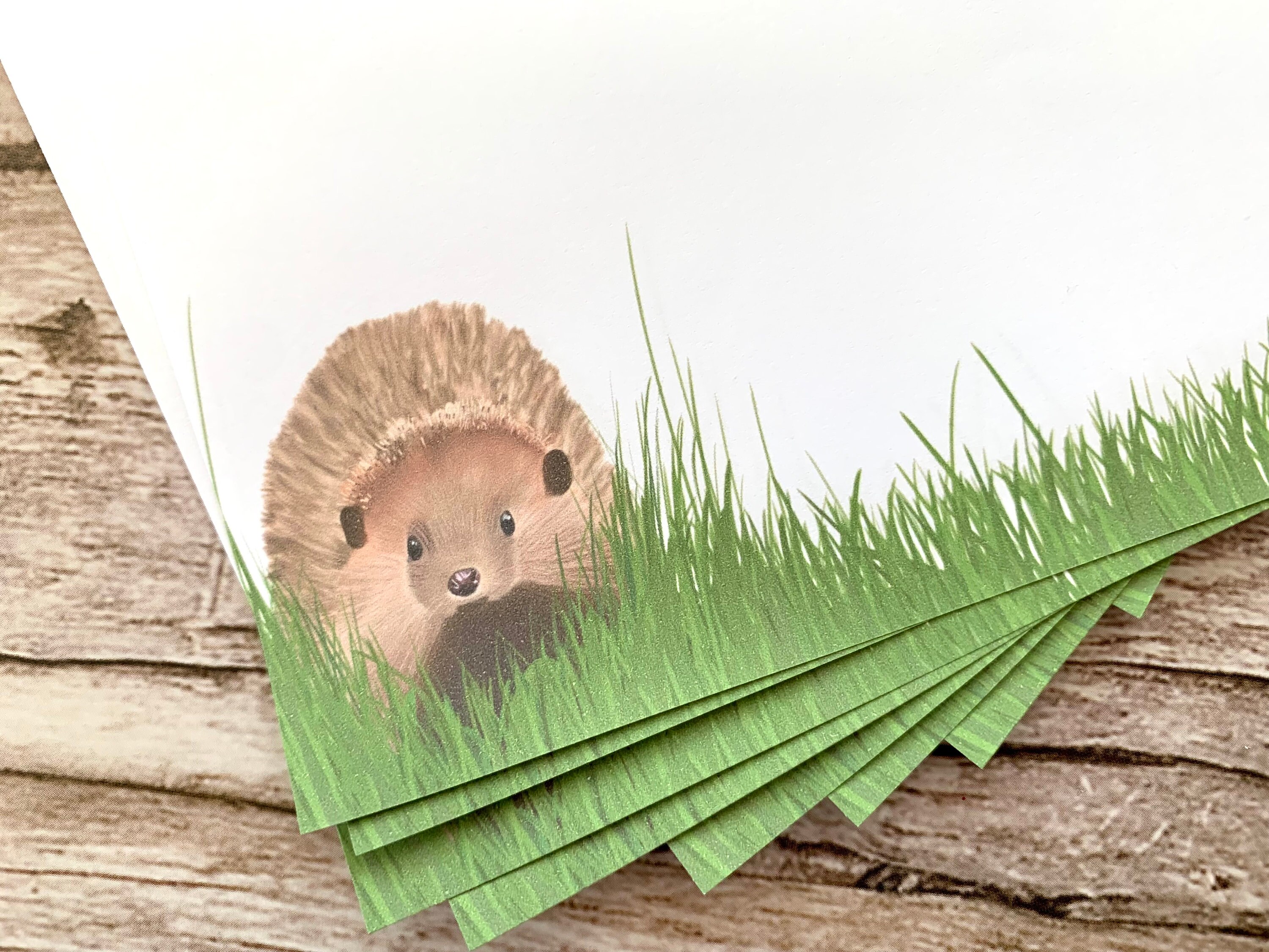 Hedgehog Writing Set, Colourful Letter Writing Set, Writing Paper ...