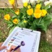 Children's Spring Activity Pack, Kids Nature Activity Pack, Printable ...