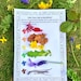 Children's Spring Activity Pack, Kids Nature Activity Pack, Printable ...
