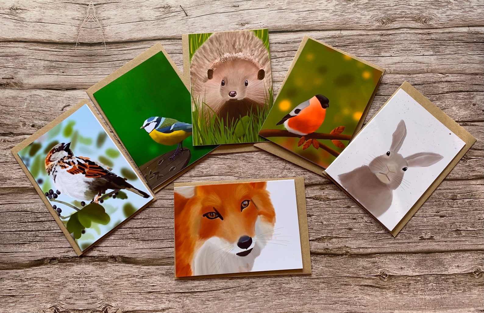 Wildlife Cards, Pack of 6, Greetings Cards, Blank Inside, Letter ...