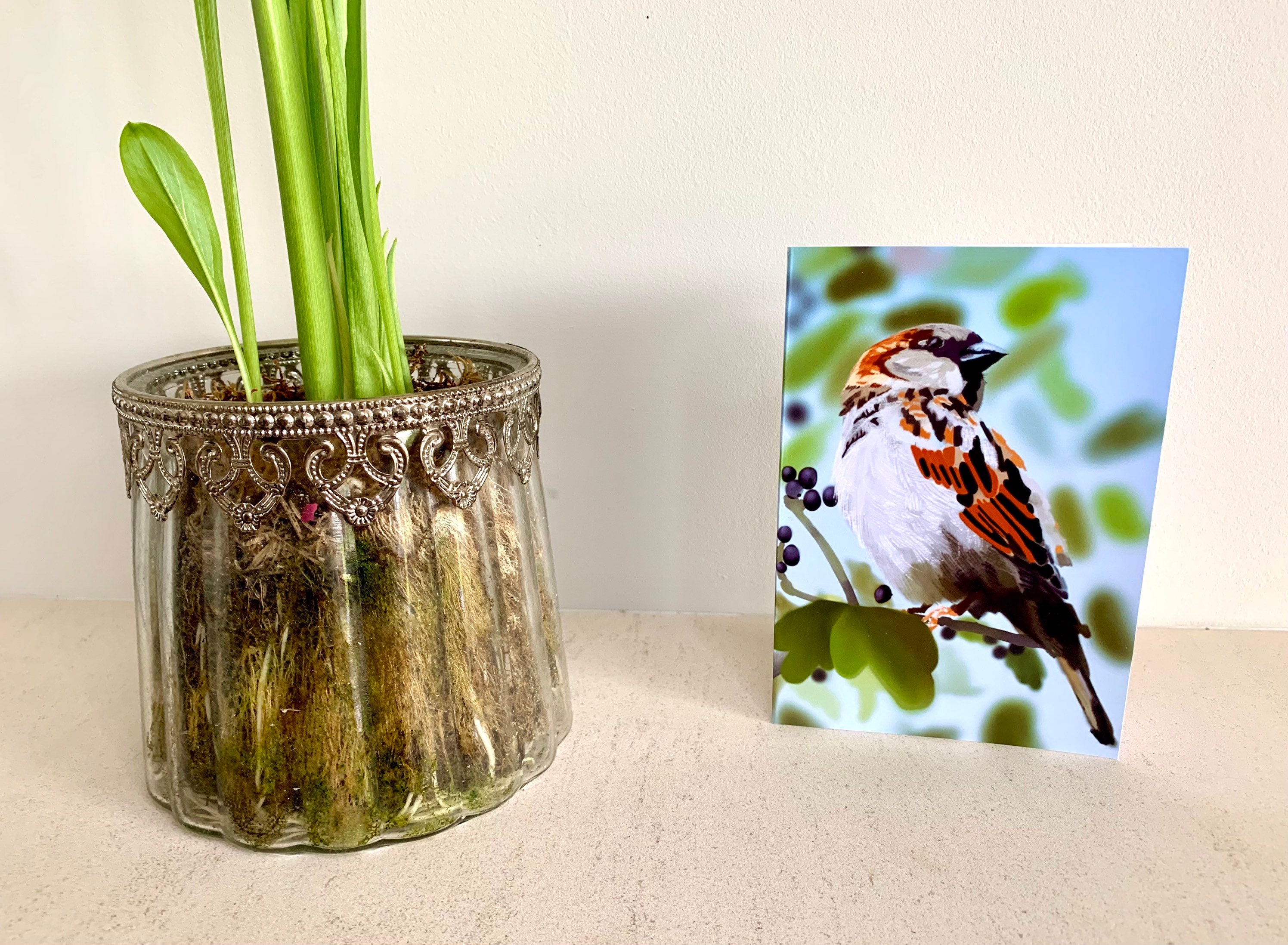Sparrow Blank Greetings Card Garden Bird Card Perfect for - Etsy UK