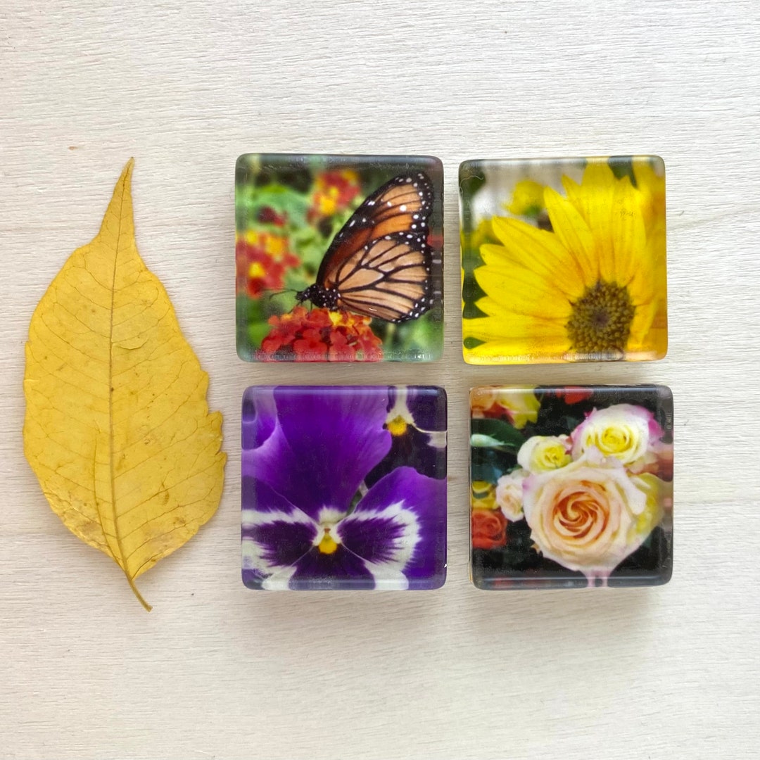 Fall Photo Magnets, Set of 4. Nature Lovers Gift, One Inch Square ...