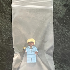Custom LIL Igor Minifigure - Etsy