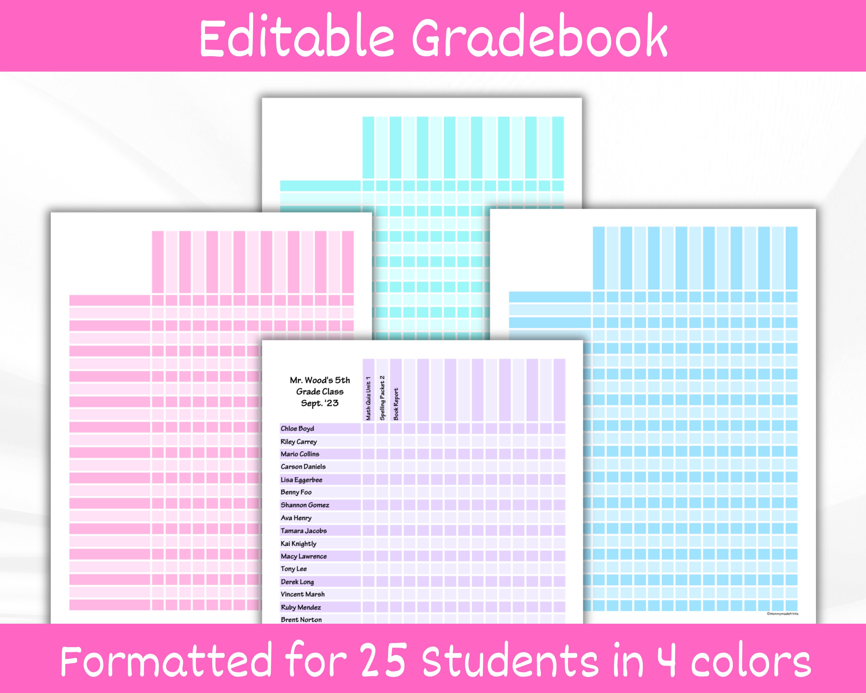 Editable Teacher Gradebook Boxes Printable for 25 Students. Teacher ...