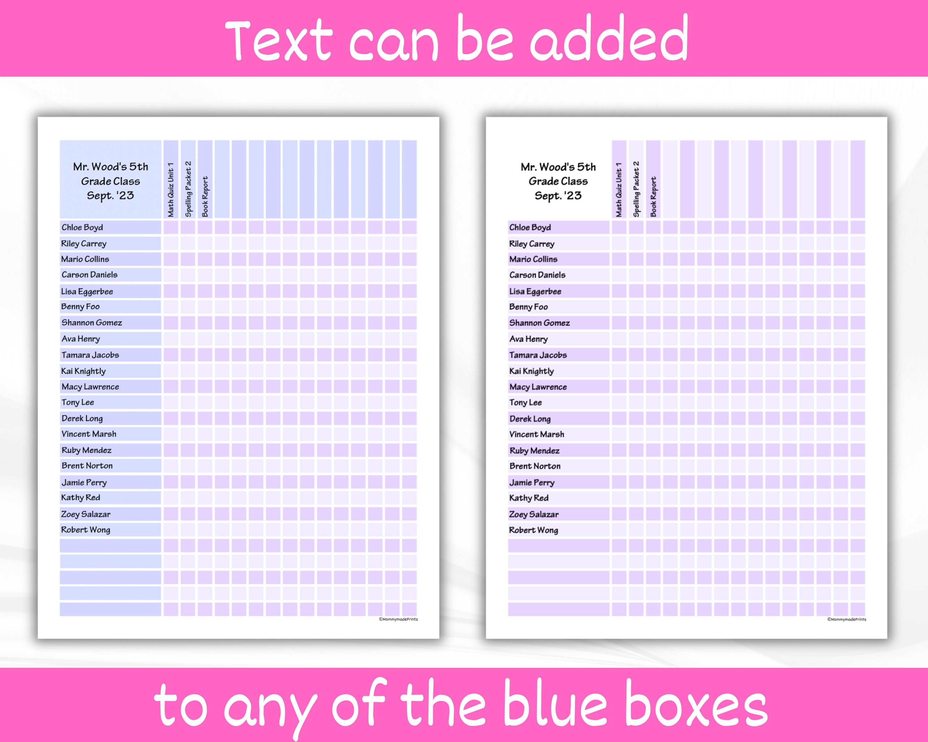 Editable Teacher Gradebook Boxes Printable for 25 Students. Teacher ...