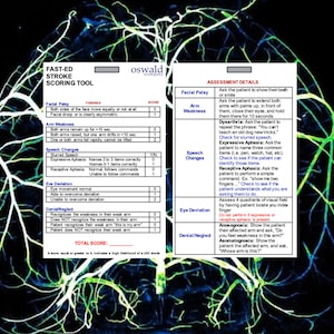 FAST-ED Stroke Badge Buddy, Paramedic, Nurse, Doctor, EMS, Scoring Tool ...