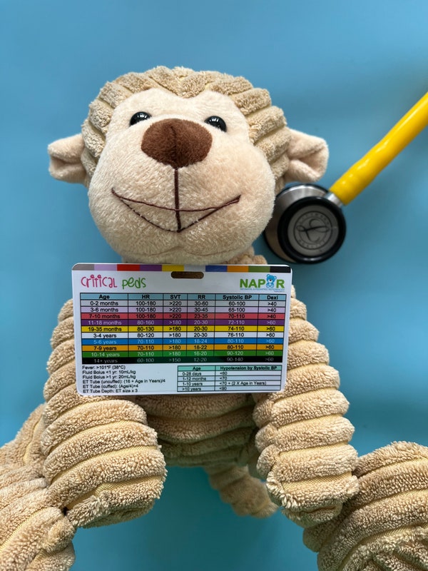 PEDIATRIC VITAL SIGNS Cheat Sheet - Etsy Canada