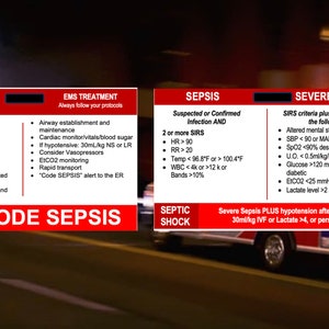SEPSIS Badge Buddy for Nurses, In-hospital, Emergency Care, Paramedic ...