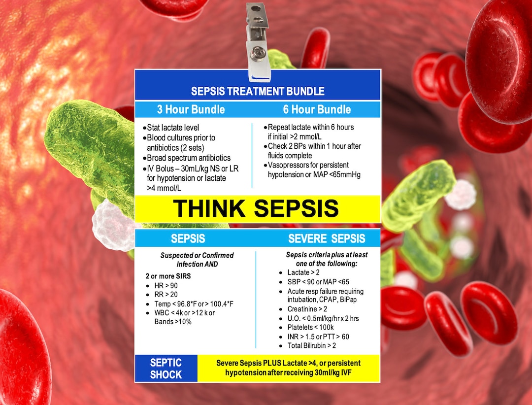 SEPSIS Badge Buddy for Nurses, In-hospital, Emergency Care, Paramedic ...