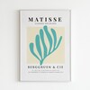 2024 Matisse Cutouts Calendar, 2024 Calendar, Henri Matisse Calendar ...