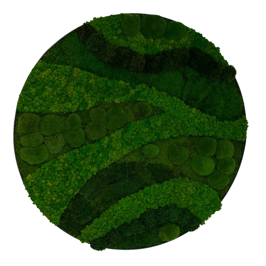 Mixed Moss Round Art - Etsy