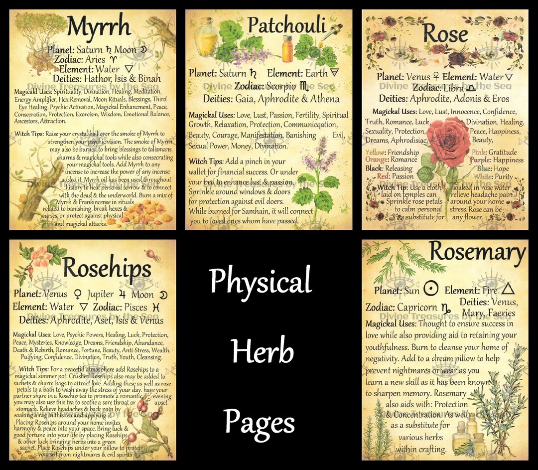 Physical Herb Pages - Myrrh - Patchouli - Rose - Rosehips - Rosemary - Etsy