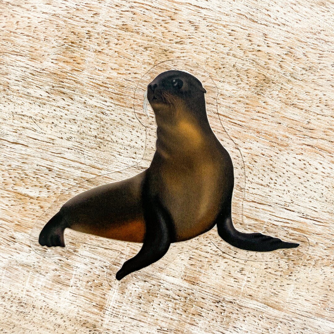 Sea Lion Clear Vinyl Sticker | Endangered Species | Waterproof ...