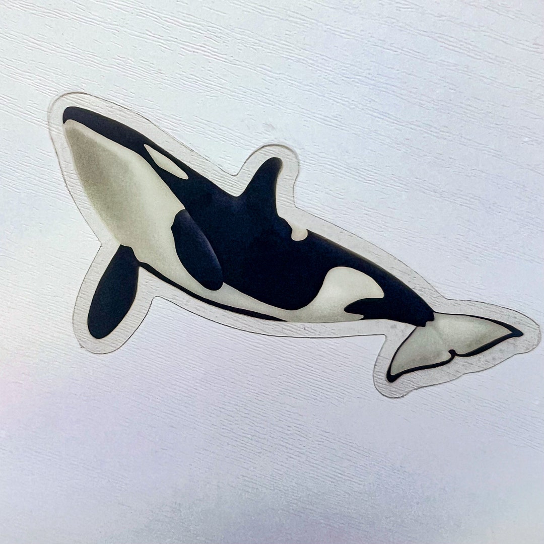 Orcha Whale Clear Vinyl Sticker | Killer Whale Sticker | Endangered ...