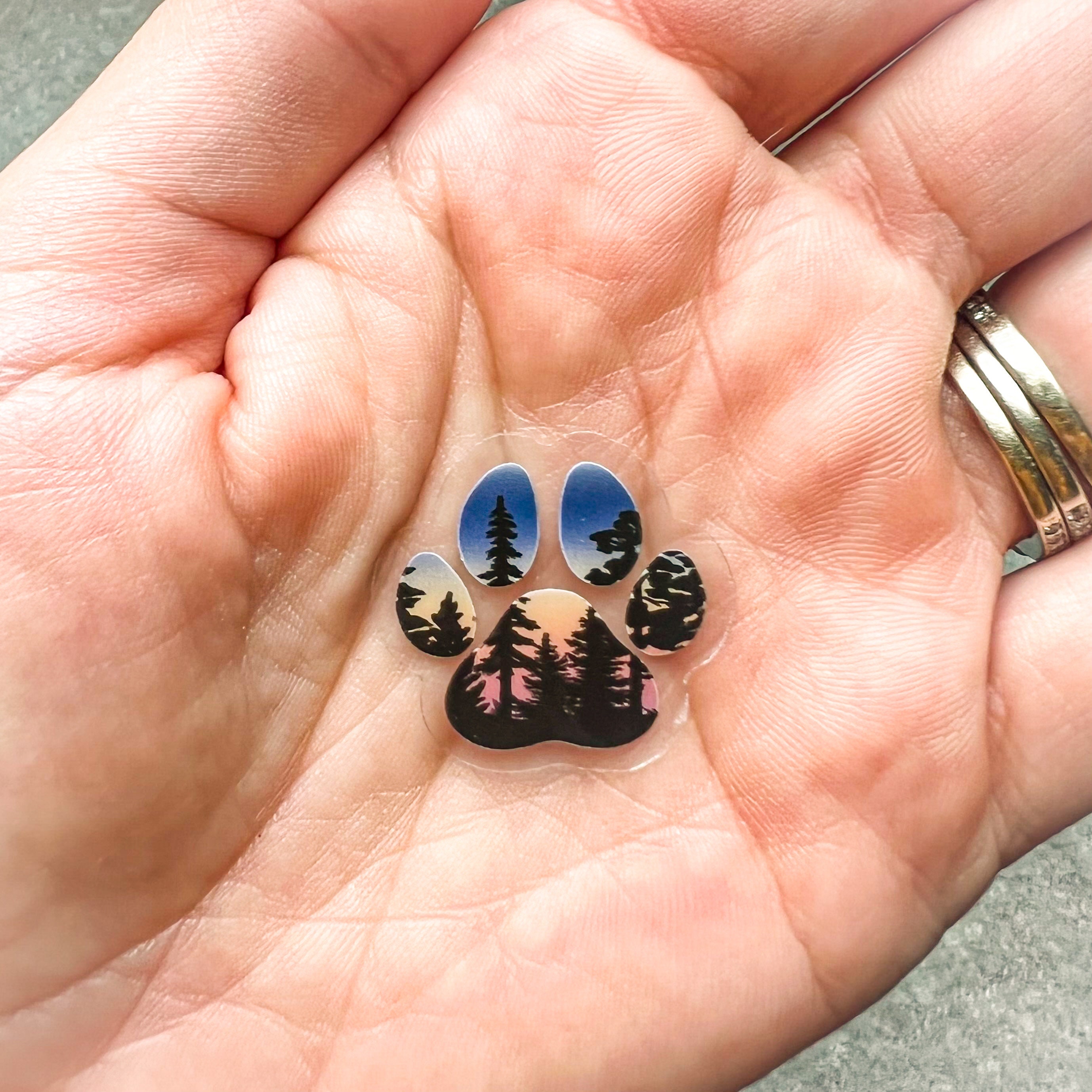 Mini 1 Sunset Paw Print Vinyl Sticker Clear Sticker - Etsy