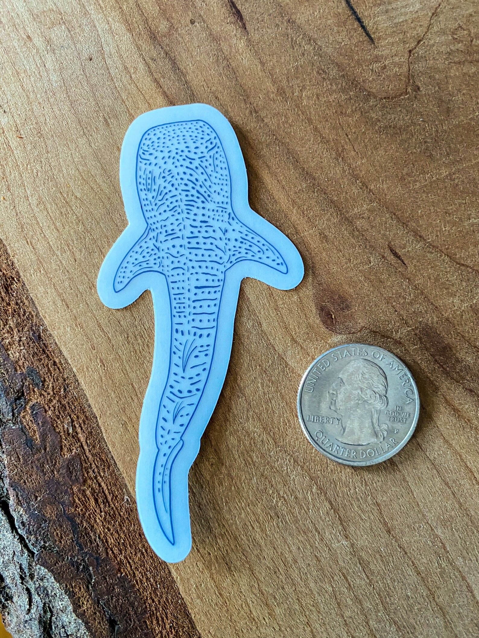 Clear Whale Shark Vinyl Sticker Endangered Species | Etsy