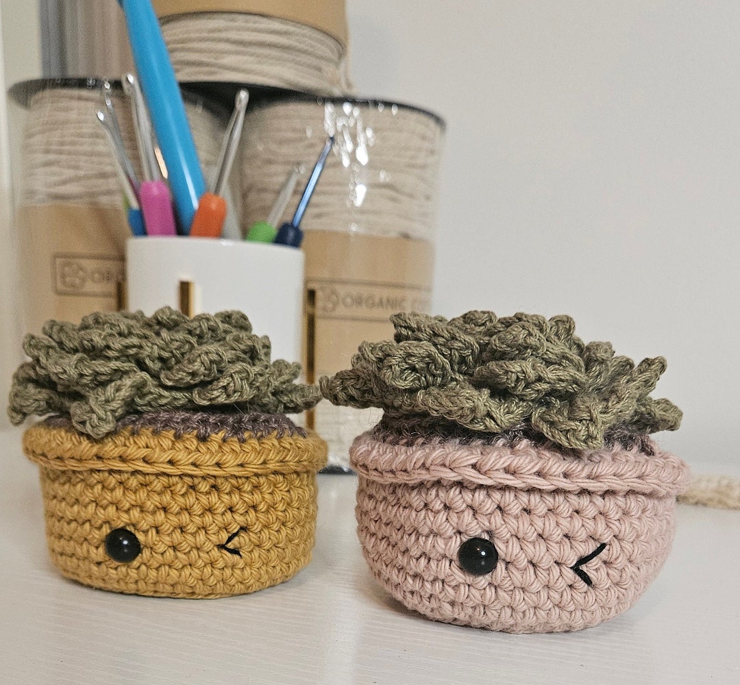 Crochet Amigurumi Succulent. Crochet Succulent Crochet Plant. Crochet ...