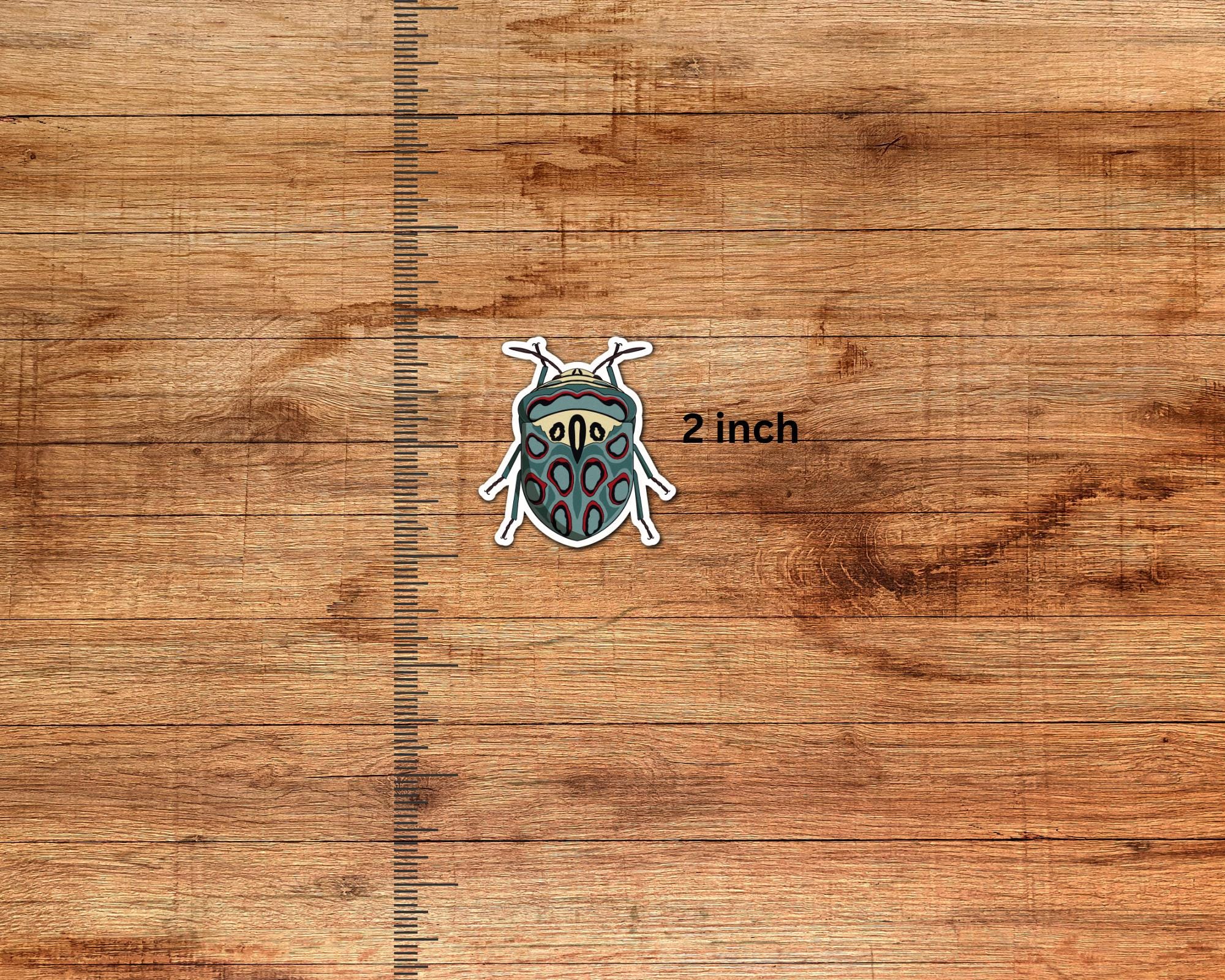 Picasso Bug | Vinyl Sticker | Hand-drawn, Waterproof, Available in ...