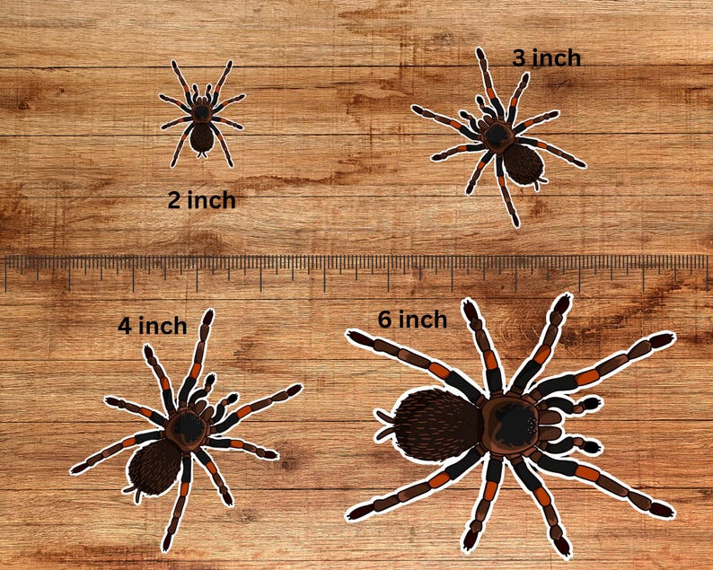 Mexican Red Knee Tarantula | Vinyl Sticker | Hand-drawn, Waterproof ...